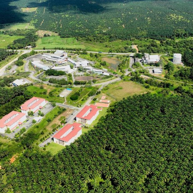 Sektor Perladangan – YPJ Holdings Sdn Bhd